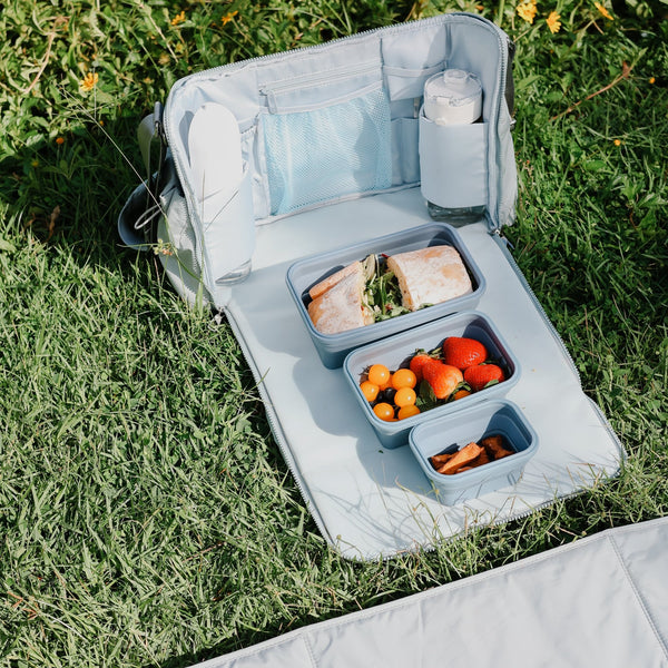 Picnic Box Set (Blue) – Pups & Bubs